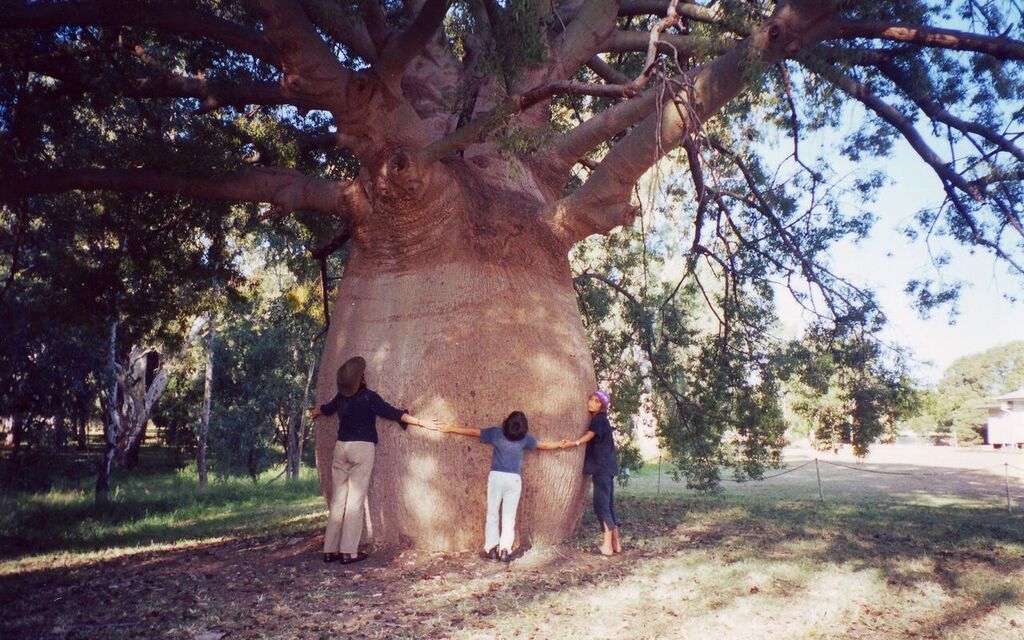 Toowoomba to Injune – Wundercliffe
